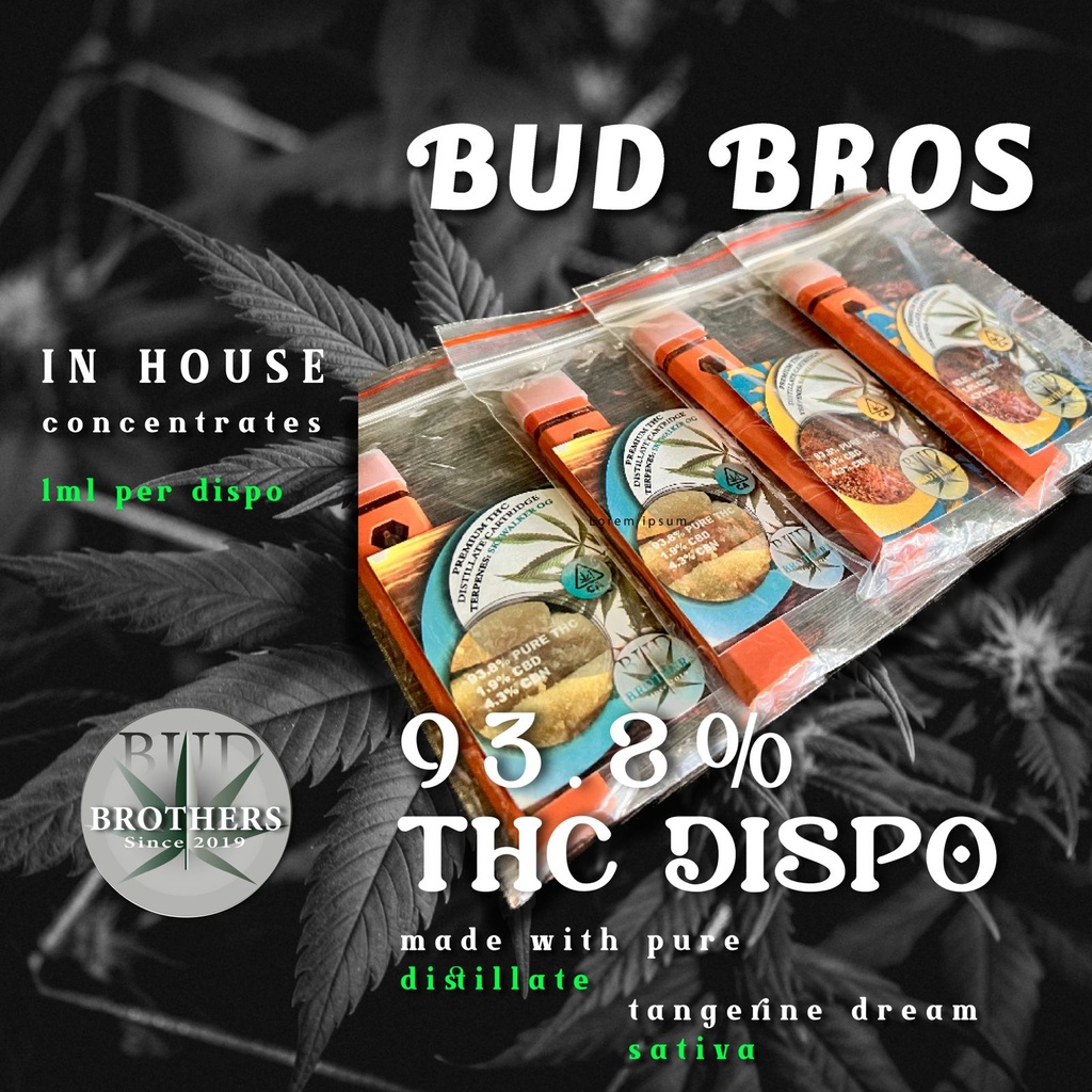 Delta 8 - Bud Brothers - Indica - Blueberry Kush - 300 Puffs - 1000MG ...
